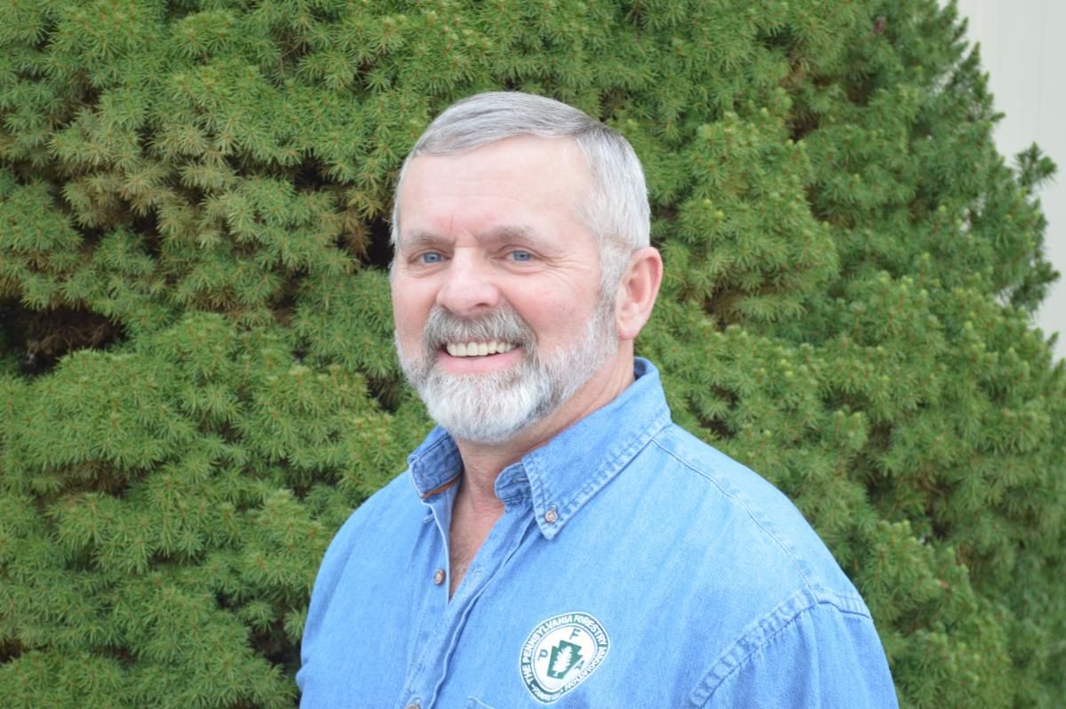 PA Forestry Association | Meet the Board