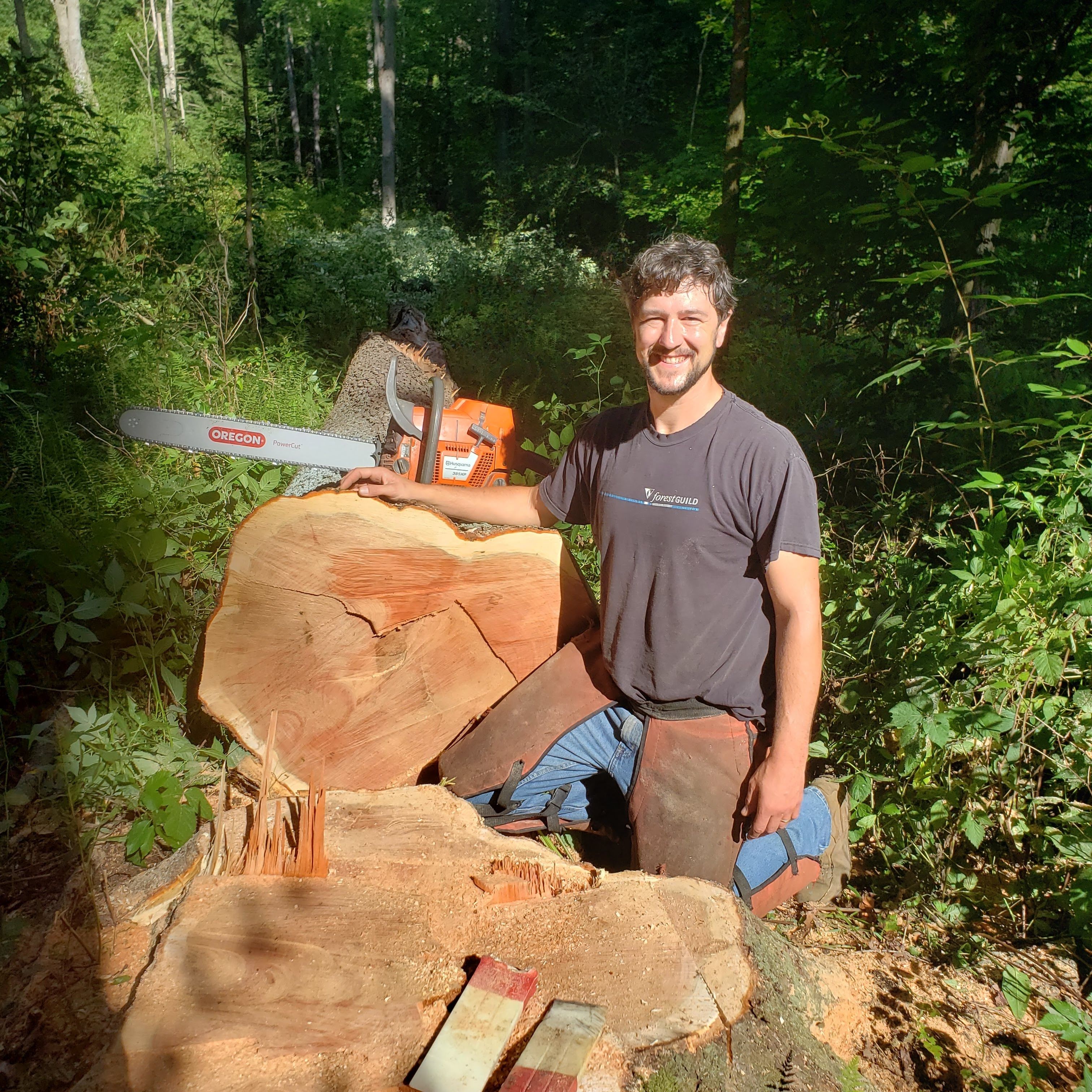 PA Forestry Association | Meet the Board